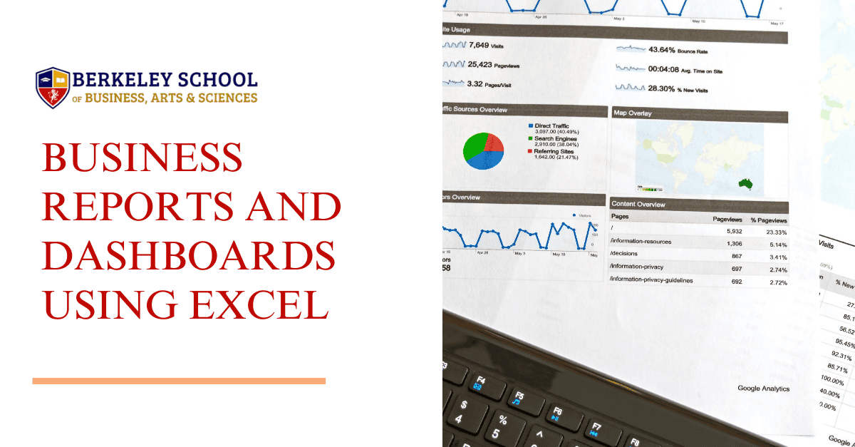BERKELEY SCHOOL OF BUSINESS, ARTS & SCIENCES - Excel Dashboards ...